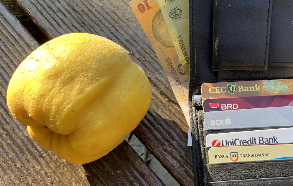 Care este diferența dintre salariul brut și salariul net ...