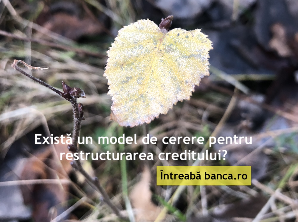Există un model de cerere pentru restructurarea creditului ...