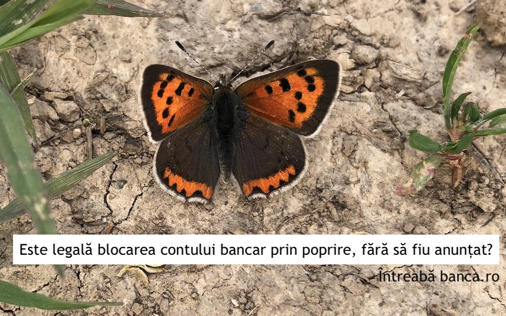 Este legală blocarea contului bancar prin poprire, fără să fiu anunțat ...